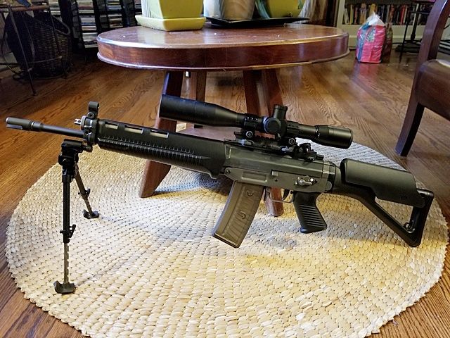 Sig 551 DMR? - The FAL Files