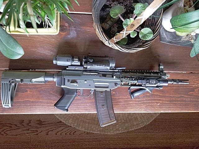 SIG 556 Pistol | The FAL Files