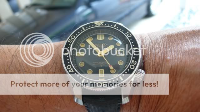 MM300 on a small wrist? | WatchUSeek Watch Forums