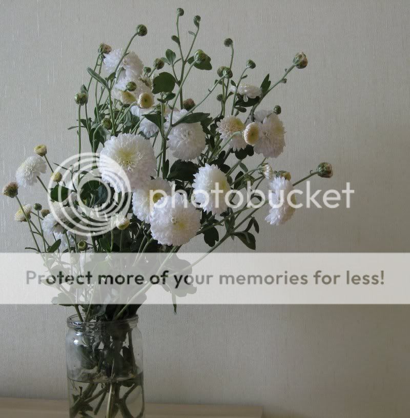 и я снова подумала. что жизнь прекрасна! она яркая. непредсказуемая ...