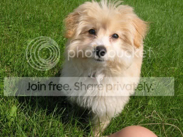 am i the first eskipoo?: doodlekisses — LiveJournal