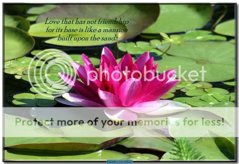 kanwal.jpg Photo by anam63 | Photobucket