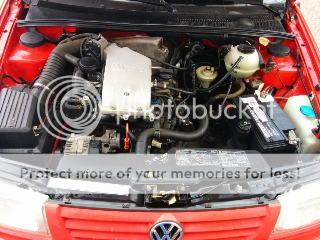 My 96 Jetta | VW Vortex - Volkswagen Forum