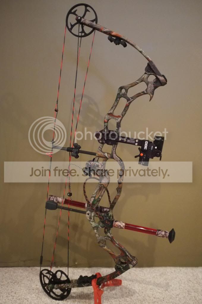 lets see your APA bows!! | Archery Talk Forum